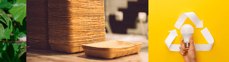 Ecodiseño: Qué es y mejores ejemplos | Sentinel